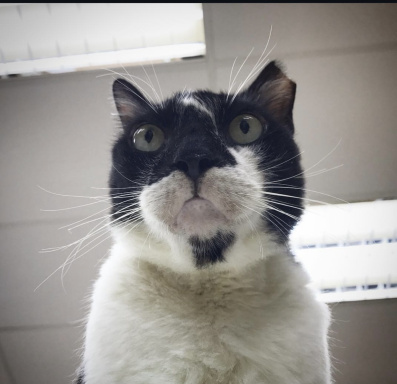 [GLGT] No update on Karl Liew’s criminal hearing for providing false ...